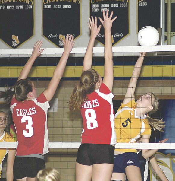 ‘Hall O’ Wheels’ - North Fort Myers Neighbor